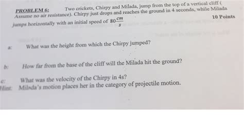 Solved Problem6 Two Crickets Chirpy And Milada Jump From