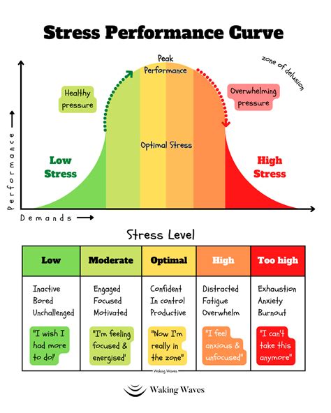 in the zone know your optimal stress levels for performance — waking waves