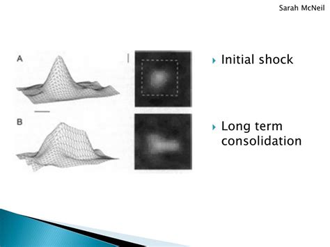 Ppt Receptive Field Dynamics In Adult Primary Visual Cortex Powerpoint Presentation Id 1936466