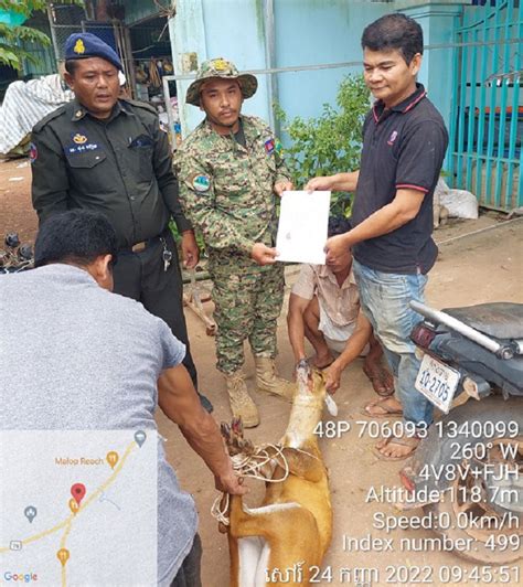 ឈ្លូសយក្សទម្ងន់៣០គីឡូក្រាមត្រូវបានលែងចូលព្រៃវិញ បន្ទាប់ពីជួយសង្គ្រោះនៅស្រុកកែវសីមា