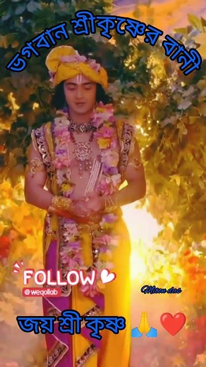 ভগবান শ্রীকৃষ্ণের বানী চিরন্তন সত্য কথা🌿 হরে কৃষ্ণ 🙏 ️🙏 Like Follow Comment Share