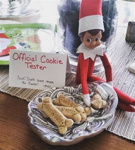 How To Introduce Your New Elf On The Shelf At Carla Overton Blog
