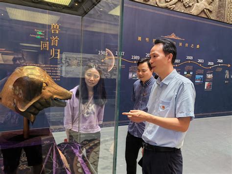 基础医学院法医学系党支部和东莞校区解剖教研室党支部参观东莞市博物馆“国宝归来”系列展览 新闻网