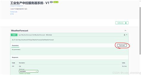Asp Net Core实战 集成swaggernet Core Swaggerxml如何设置为始终复制 Csdn博客