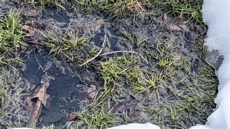 Septic Tank Leaching Bed How Can I Go About Fixing This Have Tried All Different Types Of