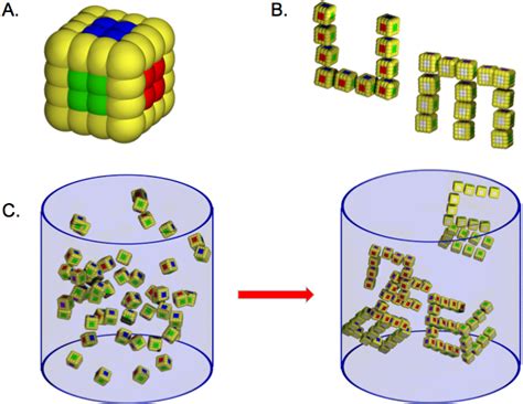 Schematic Of Faceted Patchy Particle Assembly A A Faceted Patchy Download Scientific Diagram