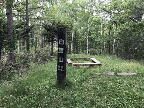 白旗山札幌市 2019 06 02 Absenteさんの白旗山の活動データ Yamap ヤマップ