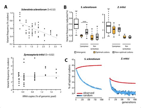 Biased Synonymous Substitution Patterns Underpin Codon Optimization In Download Scientific