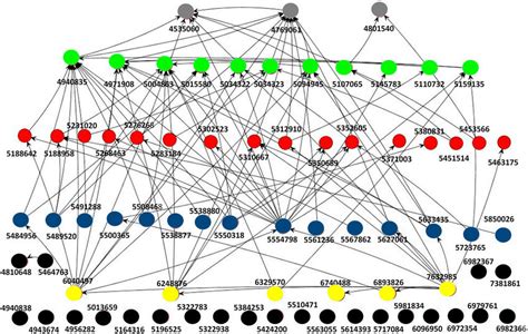 Upper Stratum Sub Network Organized According To Graph Components And