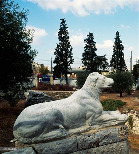 Ancient Hellas Back Up Statue Of Dog Atop Lysimachus Tomb