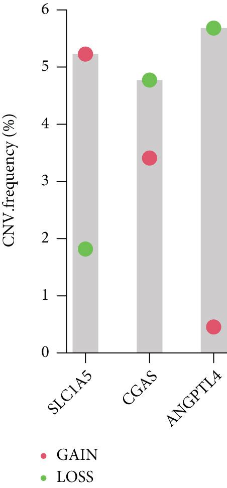 Genomic Mutation Profiles Of Different Risk Groups And Genes A