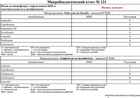 Antibiotic For Enterococcus Faecalis Uti