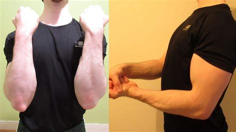 Arm Vs Forearm Whats The Real Difference