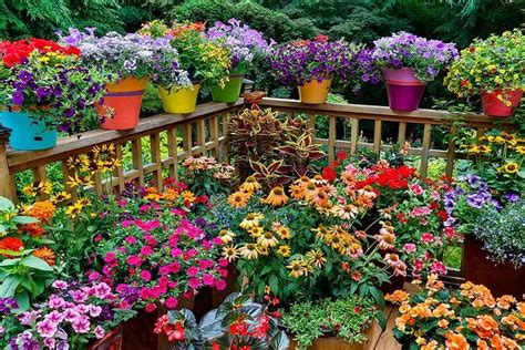 ТОП 10 неприхотливых цветов для дачи которые не требуют постоянного ухода