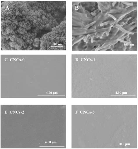 Molecules Free Full Text Preparation Characterization And