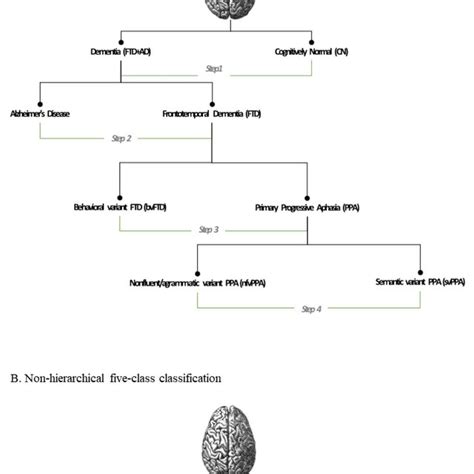 Discriminative Regions For Each Step Each Discriminative Area