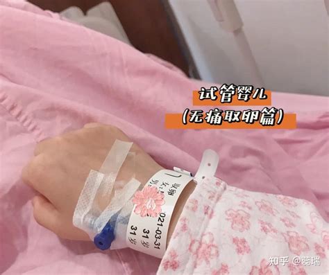 试管婴儿取卵到底痛不痛亲身经历告诉你答案 知乎