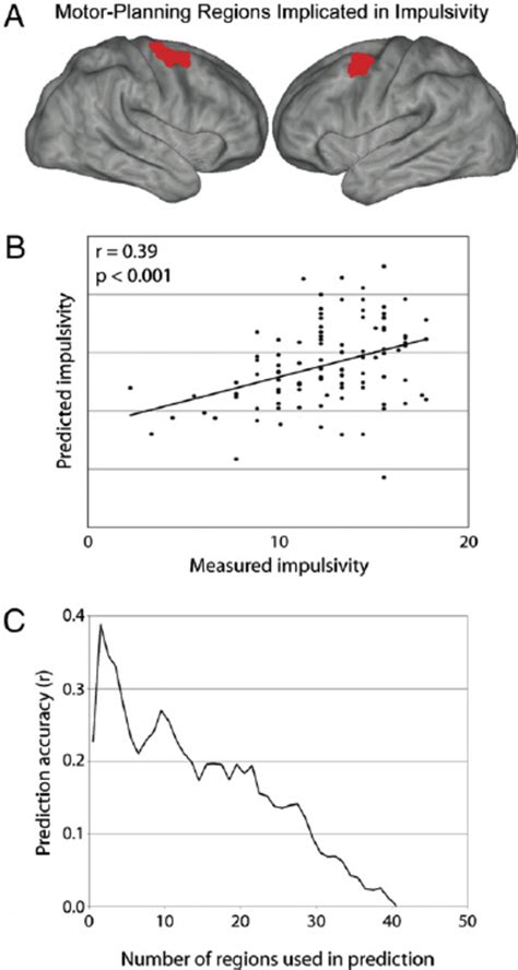 Premotor Functional Connectivity And Impulsivity A Bilateral