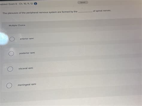 The Plexuses Of The Peripheral Nervous Studyx