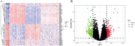 Differential Expression Analysis Of The Merged Dataset A Heatmap Plot