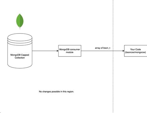 How Do I Create A Bsoncxx Document View From A Bson T Drivers