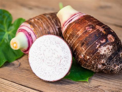 How To Grow Taro In Garden Pot And Indoors From Seed Treeier
