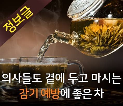 의사들도 곁에 두고 마시는 감기 예방에 좋은 차 네이버 블로그