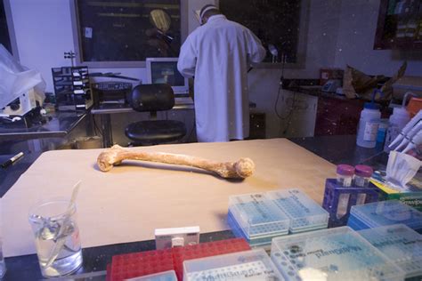 Bone Testing Uncover Vital Clues From Skeletal Remains Sorenson Forensics