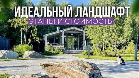 Современный ландшафтный дизайн тренды цены и обзор участка в скандинавском стиле Youtube