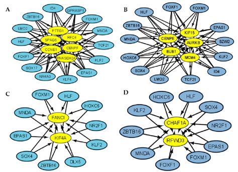 Largest Blocks From Fibration Symmetries Analysis Related To The Download Scientific Diagram