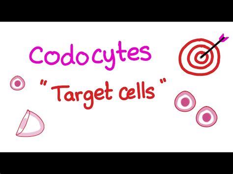 Target Cells