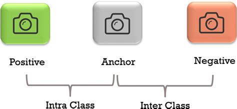 The Triplet Depicting The Intra Class And Inter Class Samples