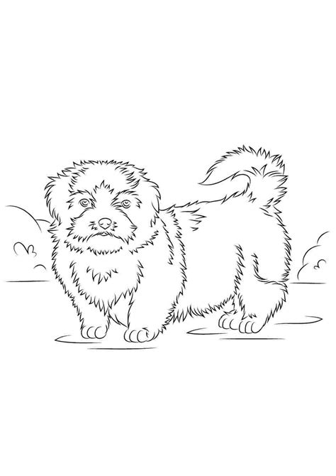 Раскраски орнаменты и узоры Интересные раскраски орнаменты и узоры Красивые раскраски