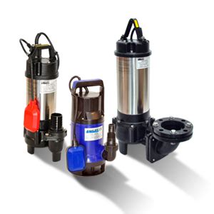 Great Pumps Great Value Dayliff Great Pumps Great Value
