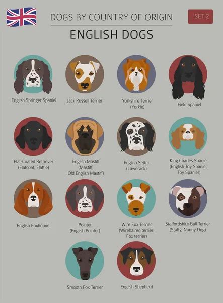 Dogs By Country Of Origin English Dog Breeds Infographic Templ