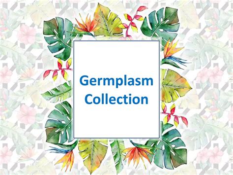 Plant Exploration Germplasm Collection Conservation And Utilization Pptx