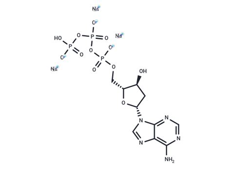 2 Deoxyadenosine 5 Triphosphate Trisodium Targetmol