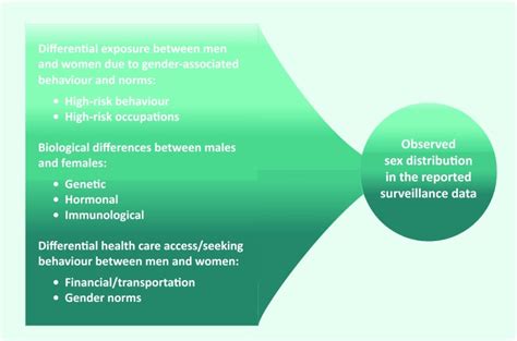 Sex Gender And Emerging Infectious Disease Surveillance A