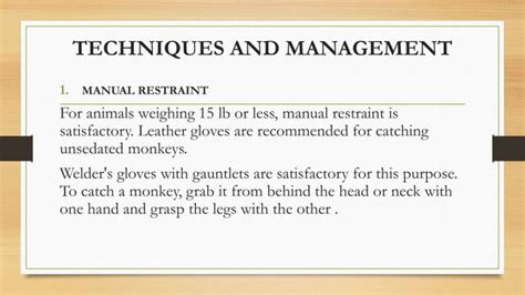 Nonhuman Primates Ppt