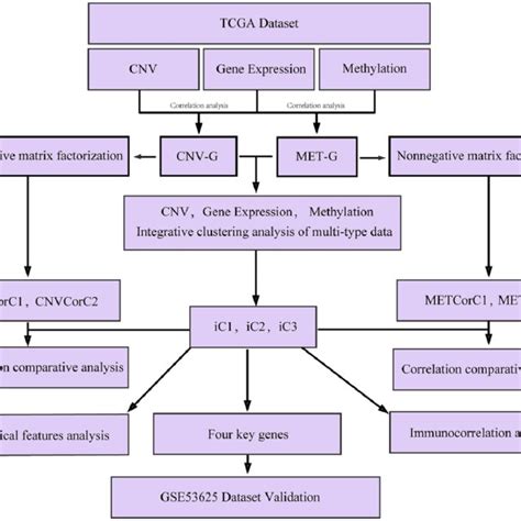 Identification Of Molecular Subtypes Of Cnv G And Met G Genes Nmf Download Scientific Diagram