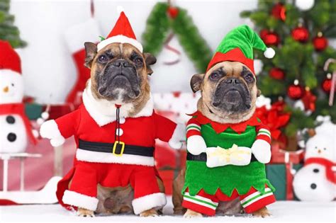 Ultimate 2023 Quiz Questions And Answers