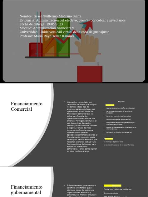 Medrano Israel Fuentes De Financiamiento Externo Pdf Bancos
