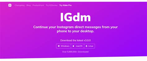 IGdm Review Send Instagram DMs Online Best Alternatives Social Pros