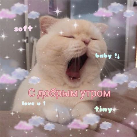 Мем доброе утро