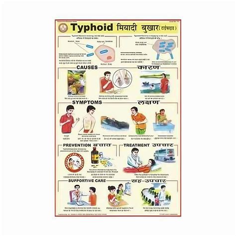 Typhoid Charts At Best Price In Pune By Bep Edu World Id 3874096255
