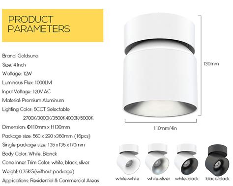 Surface Mounted Downlight With Philips Led
