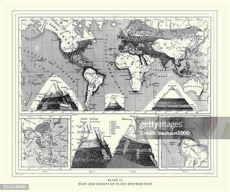 Maps And Charts Of Plant Distribution Engraving Antique Illustration