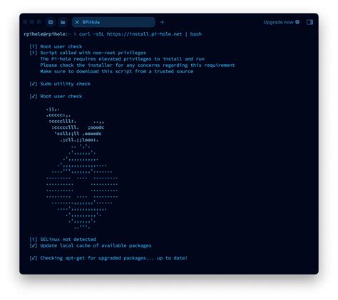 Build A Pi Hole Network Wide Ad Blocker With Raspberry Pi