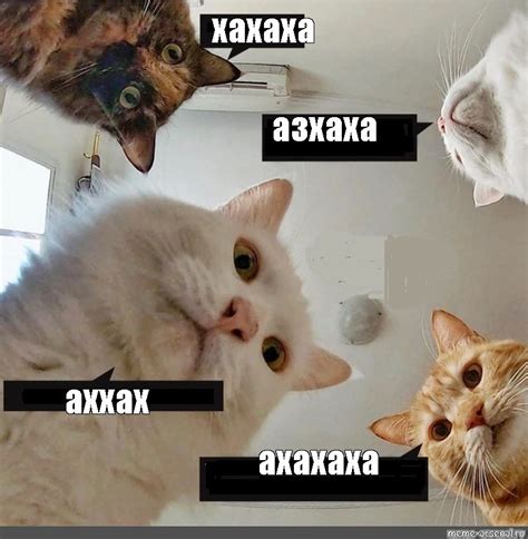 Мем хахаха азхаха аххах ахахаха Все шаблоны Meme
