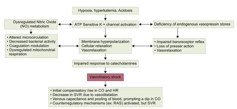 Management Of Vasodilatory Shock A Concise Review Ccr Journal Watch